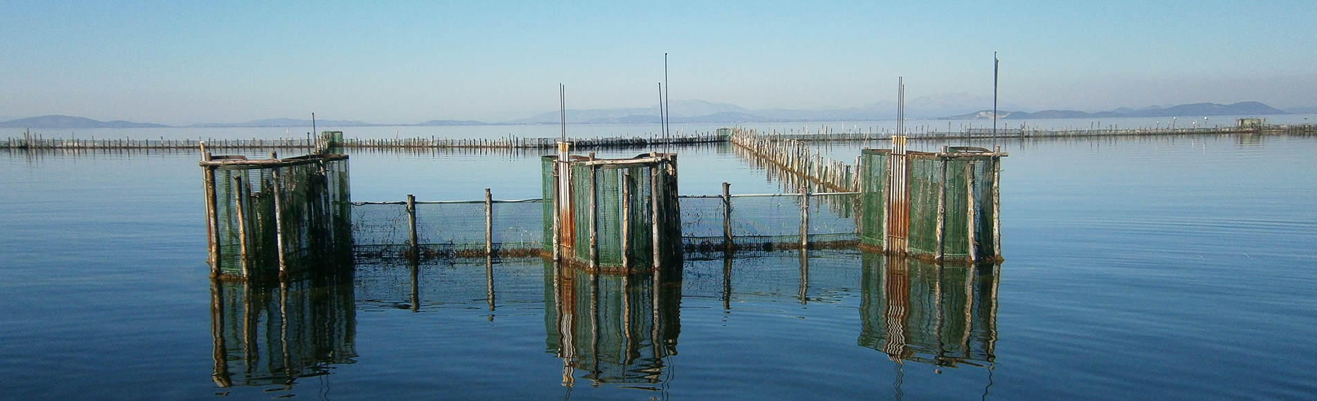 ΑΡΧΙΚΗ - Ειδική Υπηρεσία Διαχείρισης Ε.Π. Αλιείας και Θάλασσας (R)